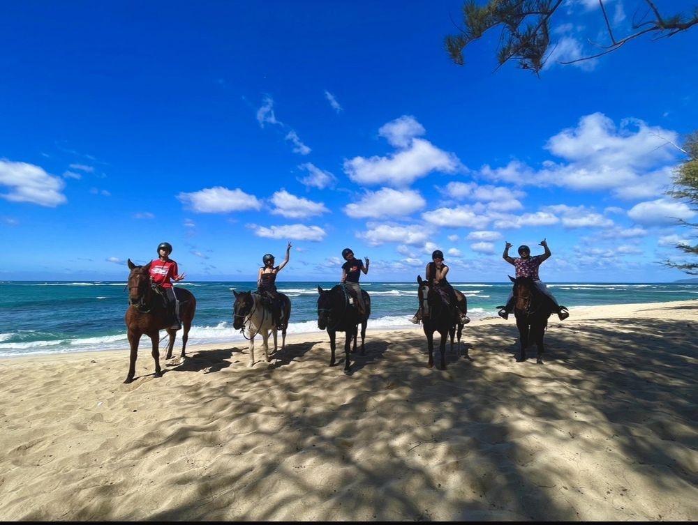 Beach Horseback Riding Oahu | Explore Hawaii Tours and Activities